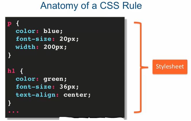 Review CSS
